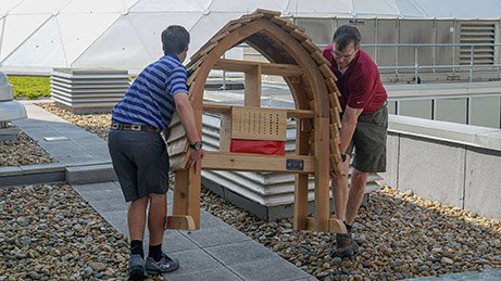What’s Buzzing at the Museum? | Blog | Science Museum of Virginia