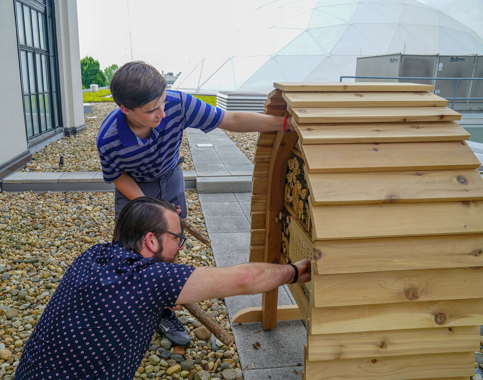 What’s Buzzing at the Museum? | Blog | Science Museum of Virginia