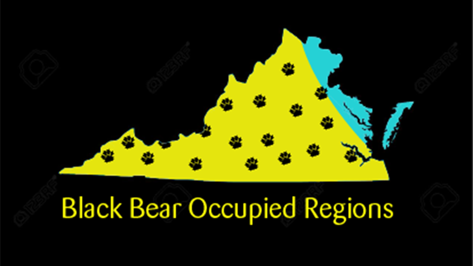 What Does Junk Food Do to Bears?| Blog | Science Museum of Virginia