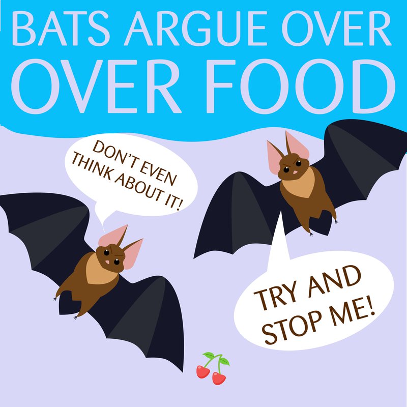 Why Do Bats Argue So Much? | Blog | Science Museum of Virginia