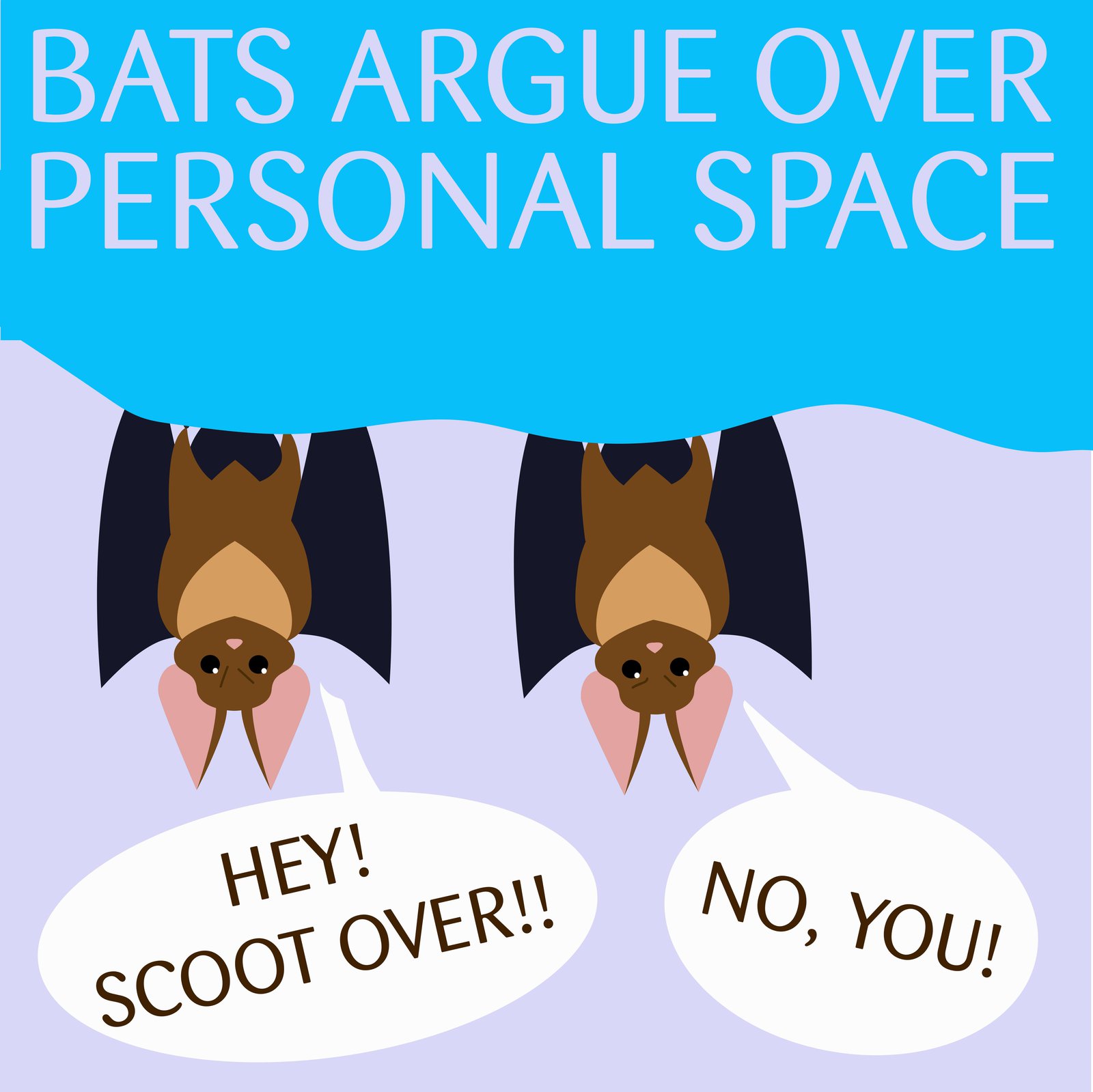 Why Do Bats Argue So Much? | Blog | Science Museum of Virginia