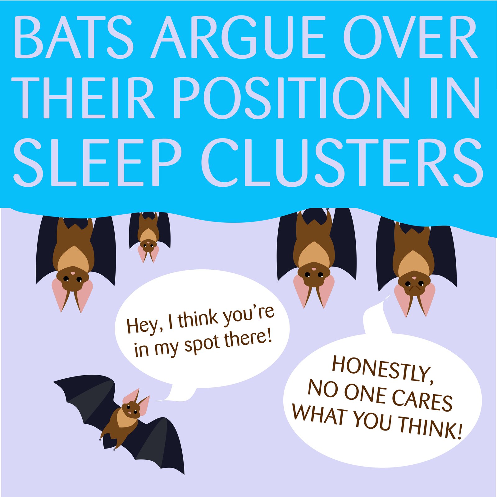 Why Do Bats Argue So Much? | Blog | Science Museum of Virginia
