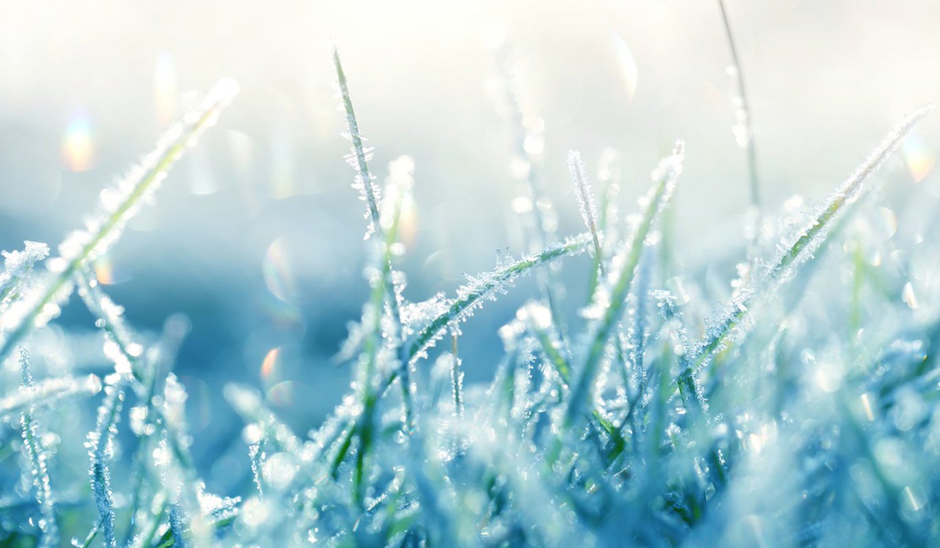 Why Study the First Frost Date? | Blog | Science Museum of Virginia