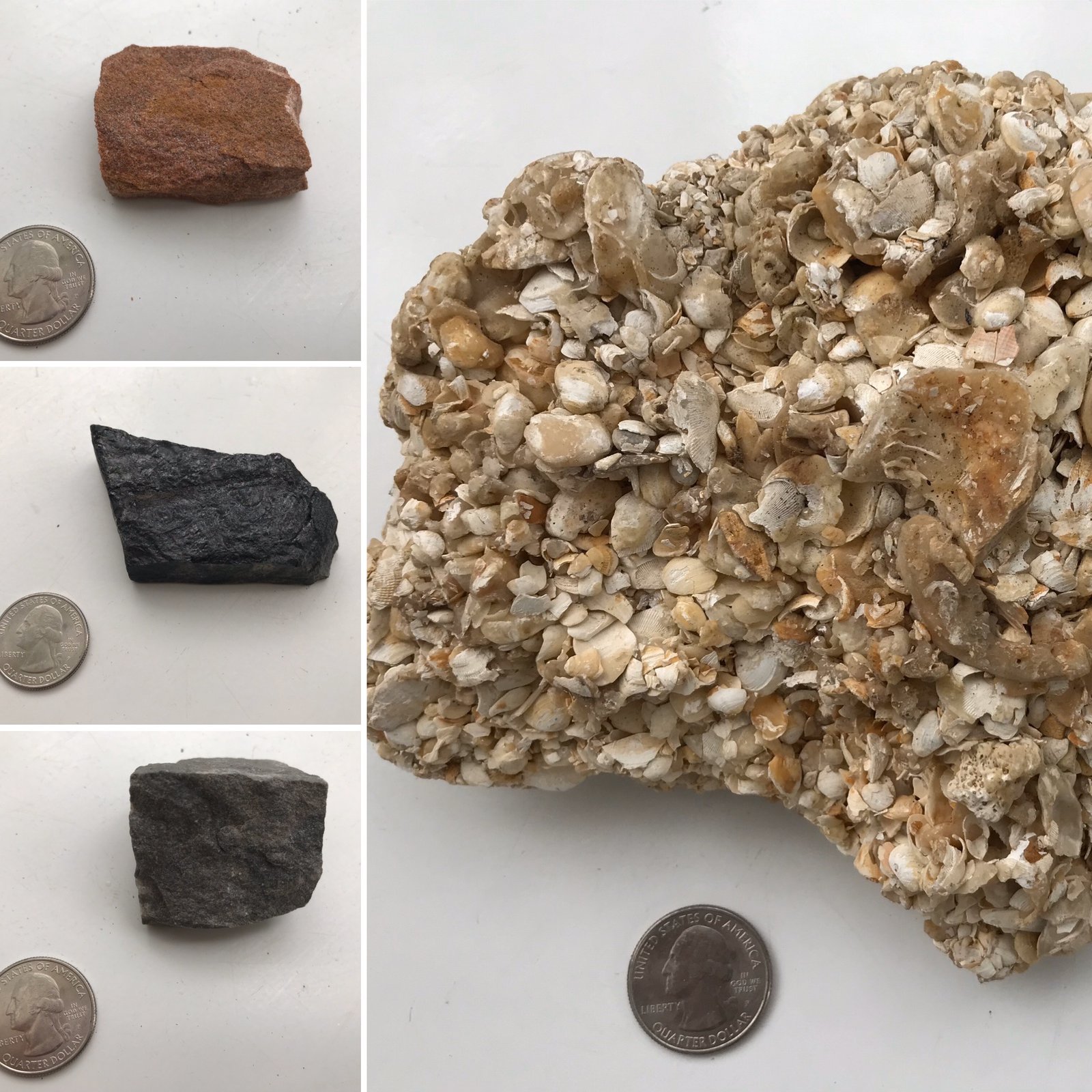 Quarantine Quarrying: Sedimentary Rocks | Blog | Science Museum of Virginia
