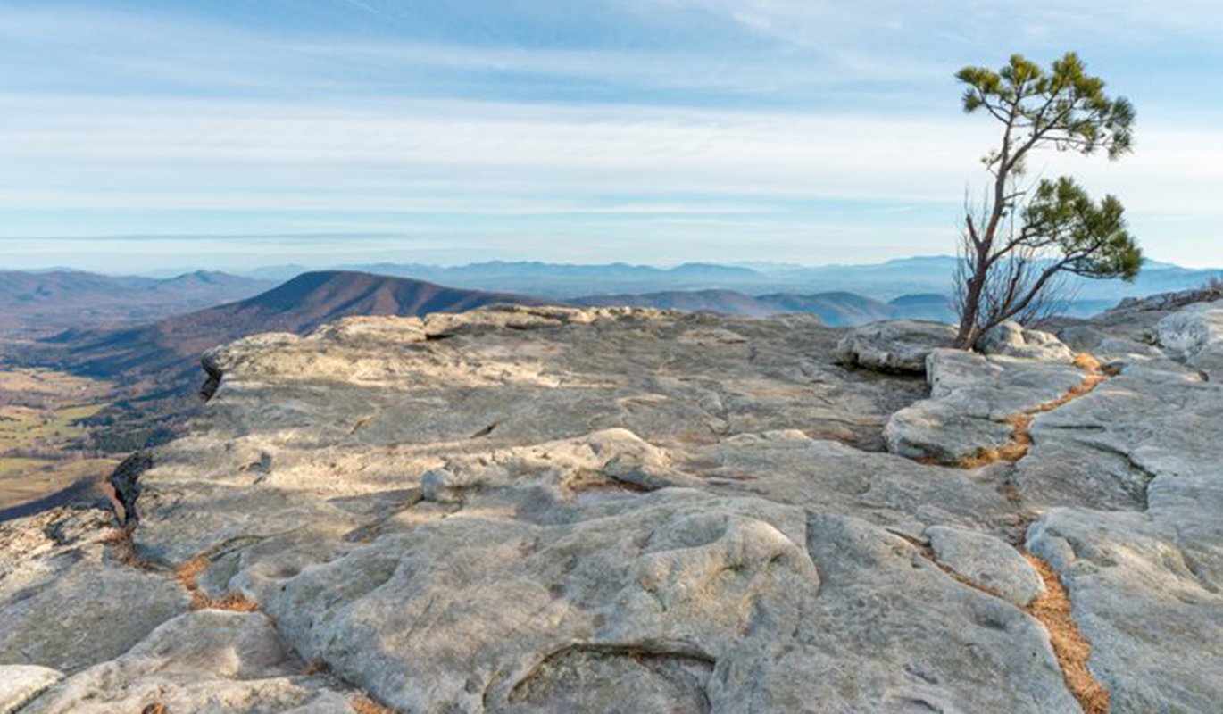 Quarantine Quarrying: Sedimentary Rocks | Blog | Science Museum of Virginia