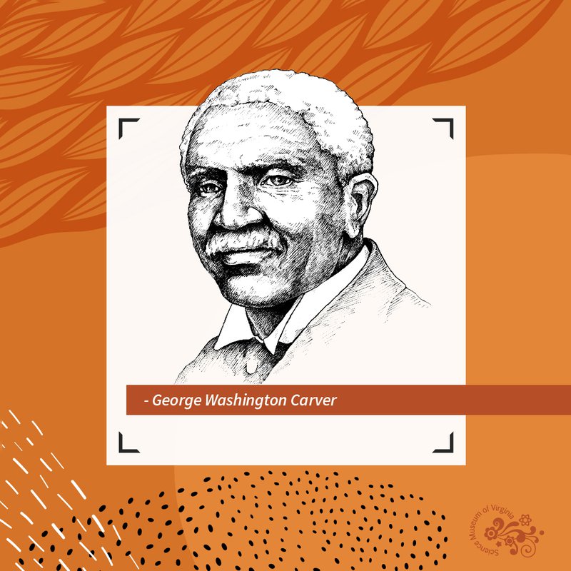 Conservation and Chemistry: George Washington Carver's Scientific ...