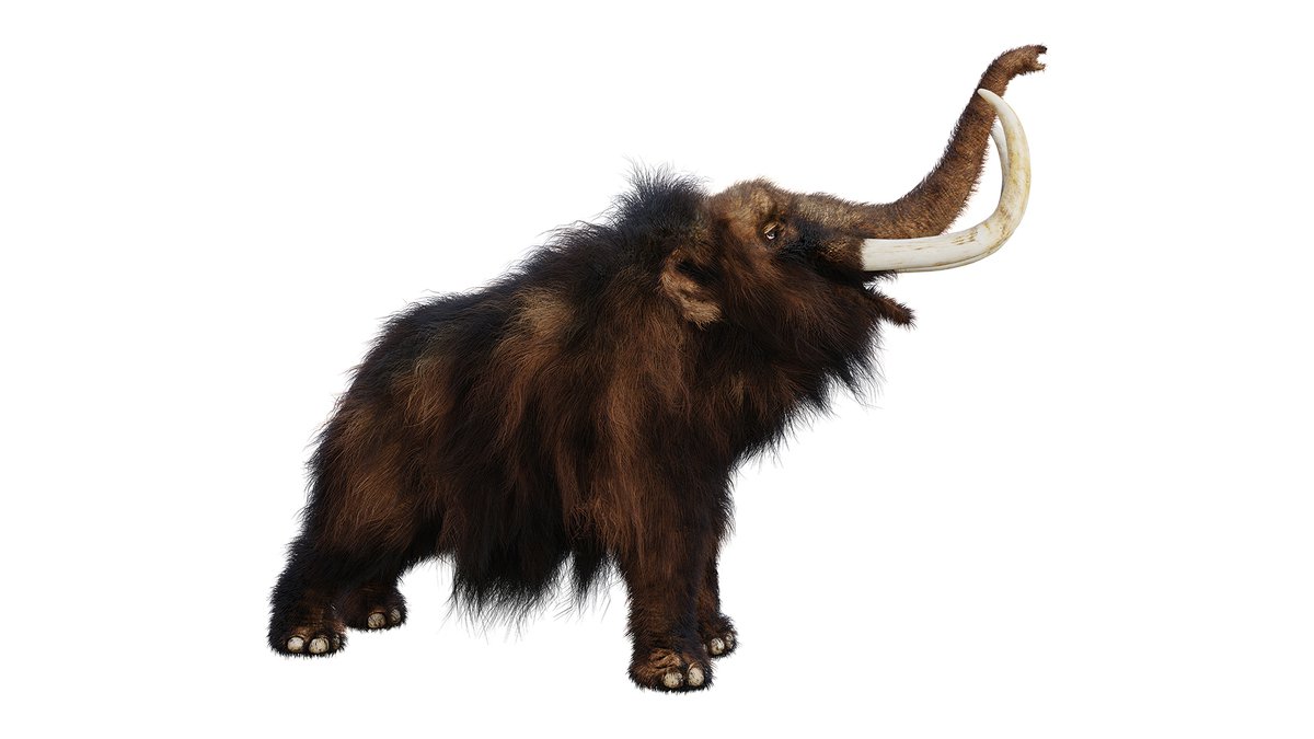 Question Your World: How Do Scientists Know Where One Specific Mammoth ...