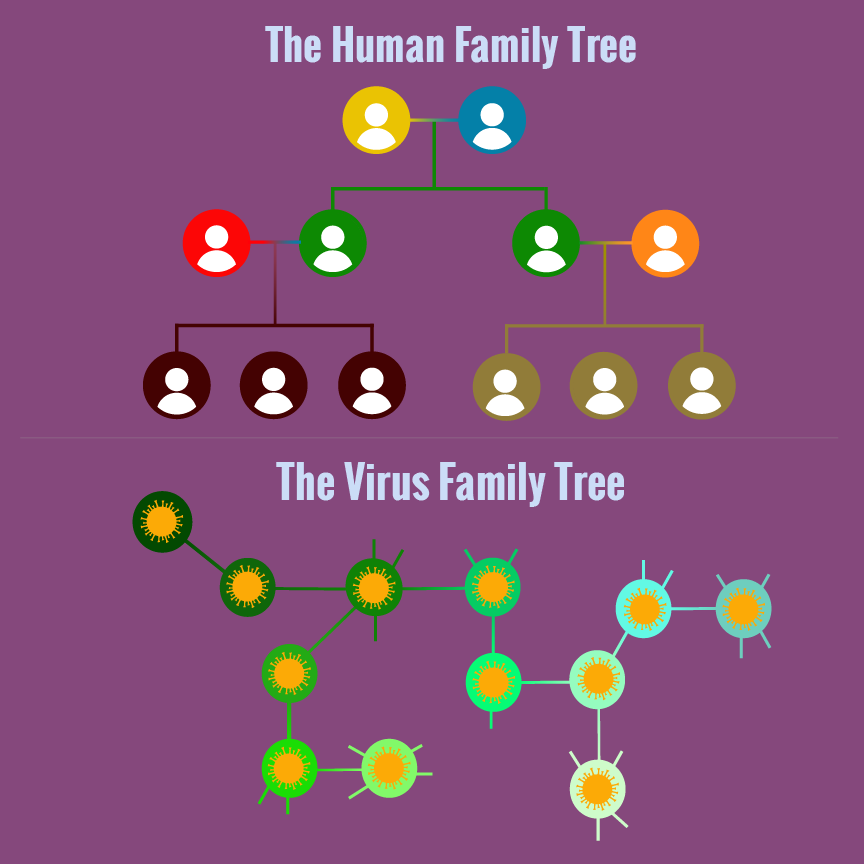 A Virus Family Tree: More Names than Sean Combs | Blog | Science Museum ...