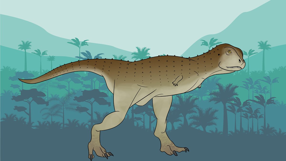 Why Do Some Dinosaurs Have Dinky Arms? | Blog | Science Museum of Virginia