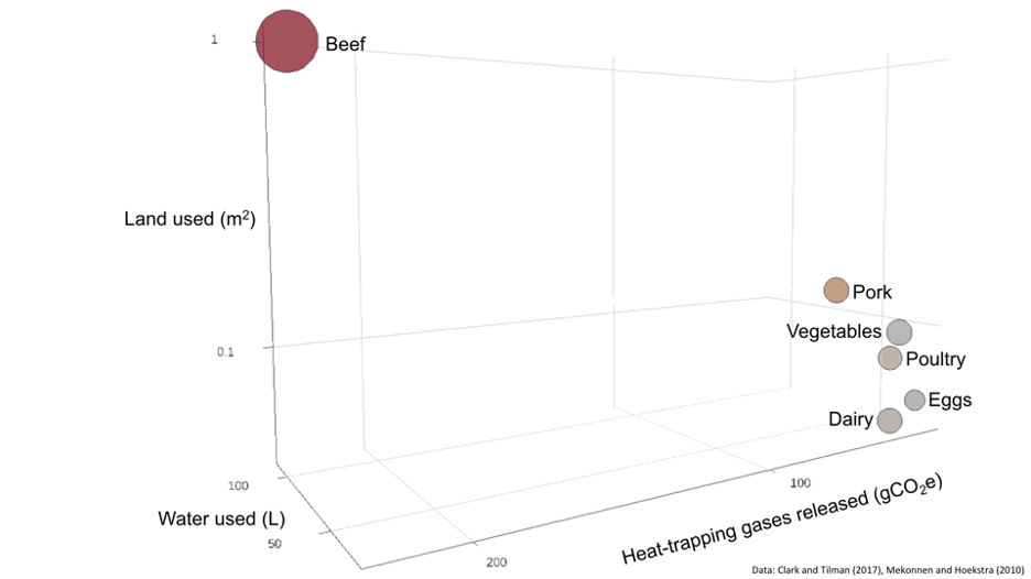 A Fun-guide to the Past, Present and Future of Leather Materials | Blog ...