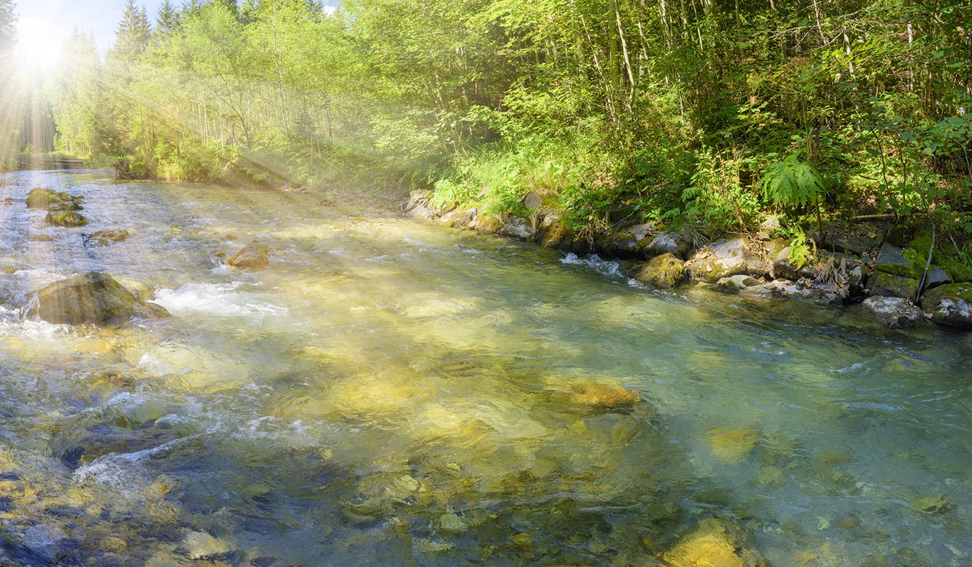 How Has Water Quality Gotten Better in the Last 50 Years? | Blog ...