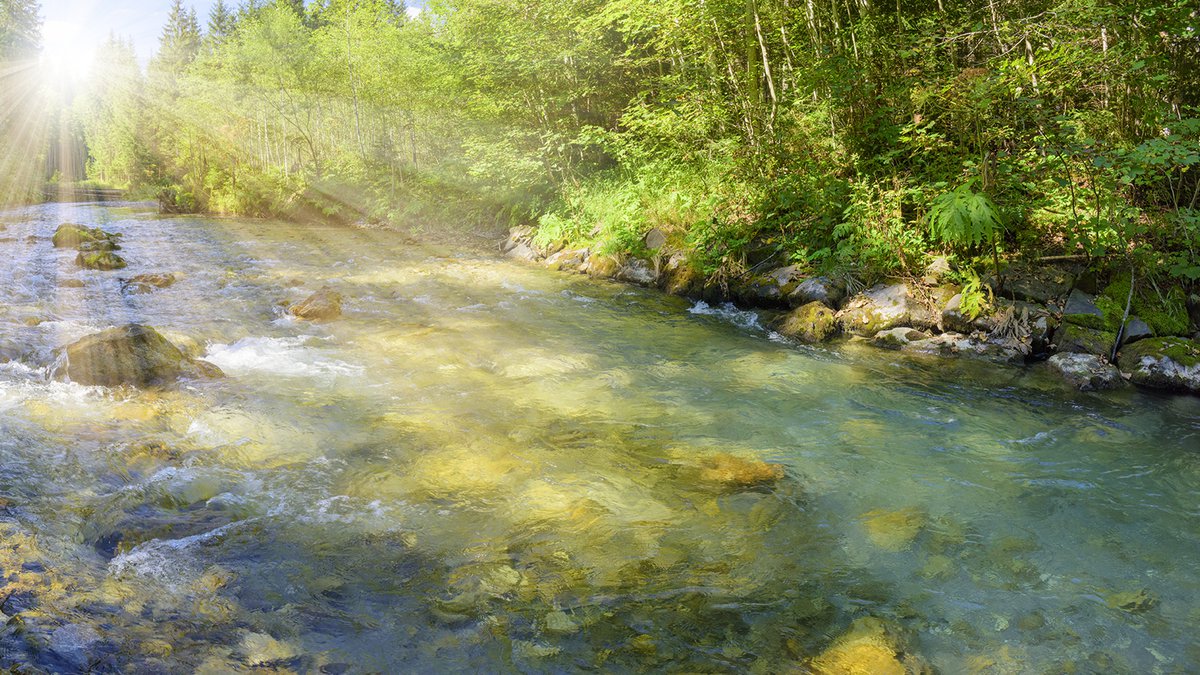 How Has Water Quality Gotten Better in the Last 50 Years? | Blog ...