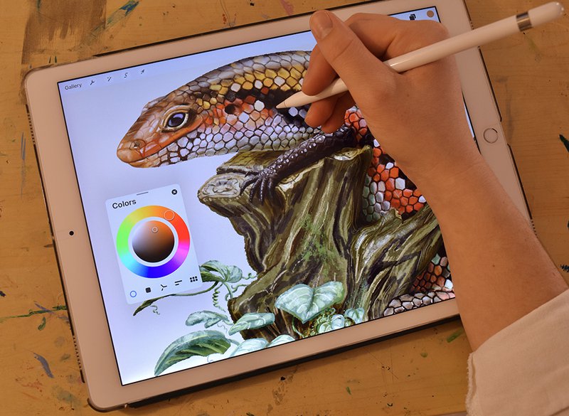 Career Catalyst: Scientific Illustrator | Blog | Science Museum of Virginia