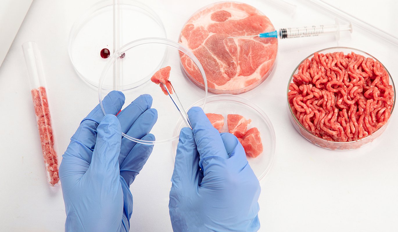 Did the US Approve Sales of Lab-Grown Meat? | Blog | Science Museum of ...