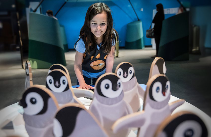 Wild Kratts Creature Power