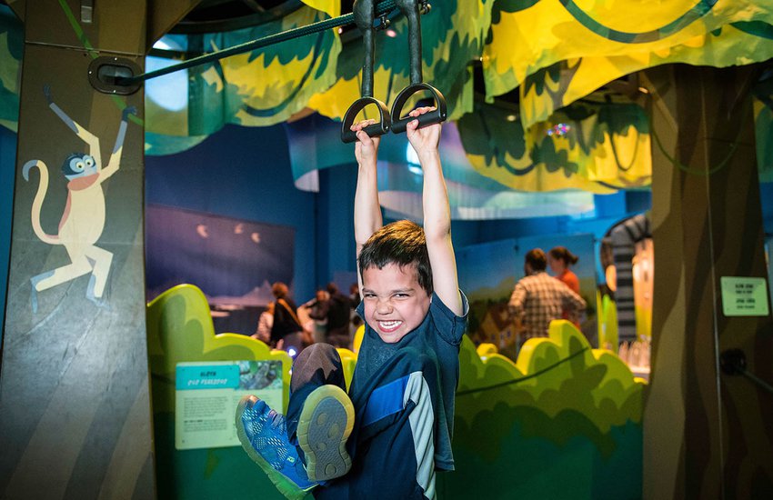 Wild Kratts Creature Power