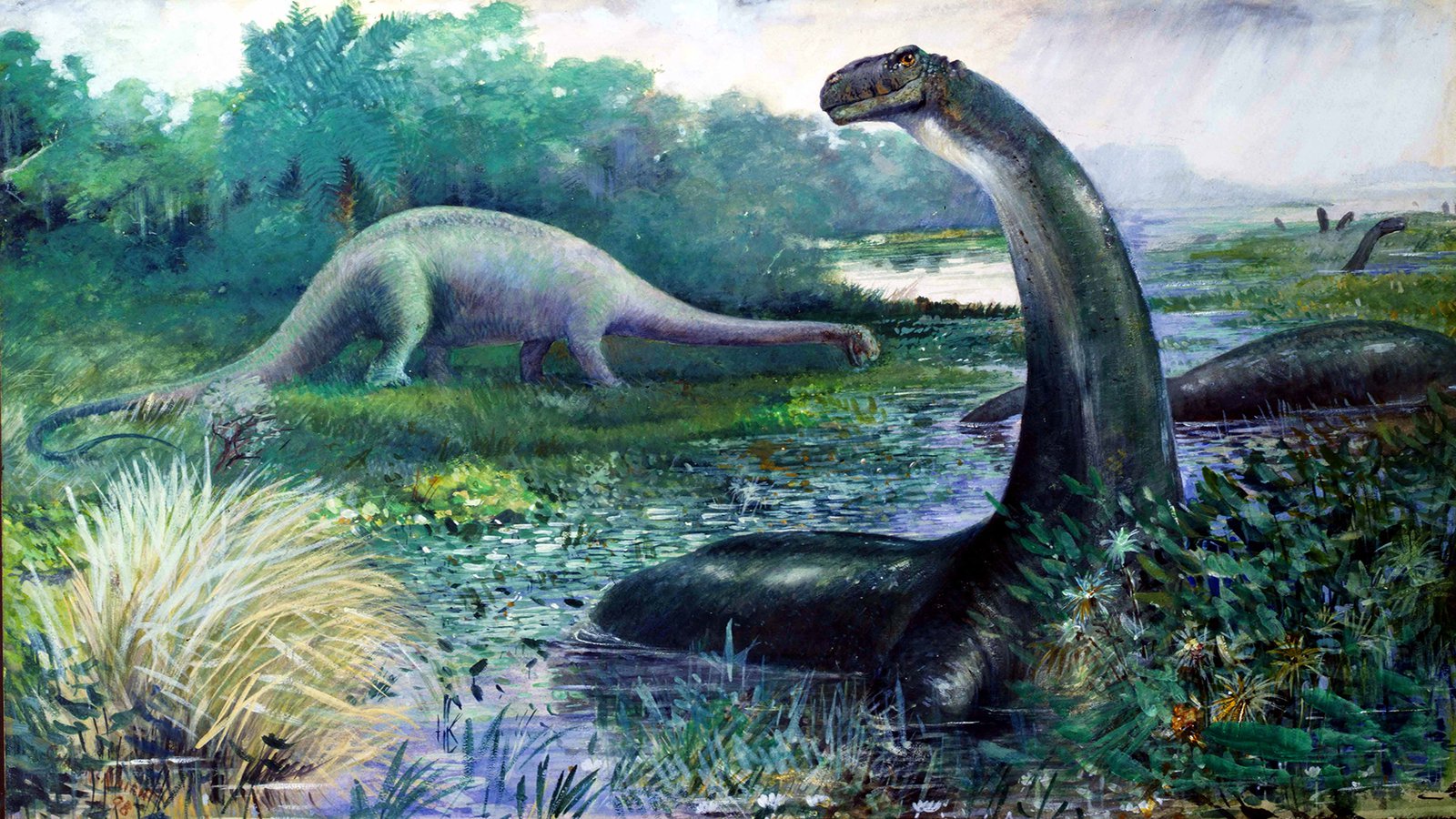 Bringing the Dead to Life: The Evolution of Paleoart | Blog | Science ...