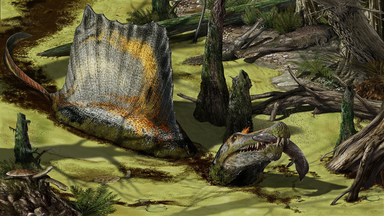 Bringing the Dead to Life: The Evolution of Paleoart | Blog | Science ...