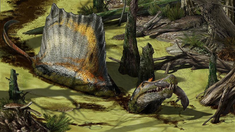 Bringing the Dead to Life: The Evolution of Paleoart | Blog | Science ...