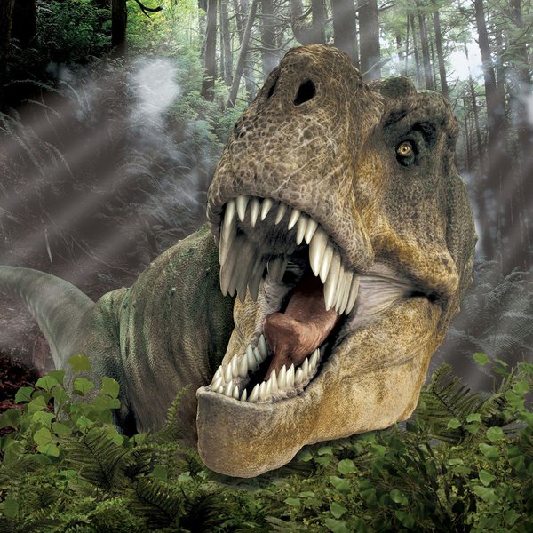 The Dome | Science Museum of Virginia