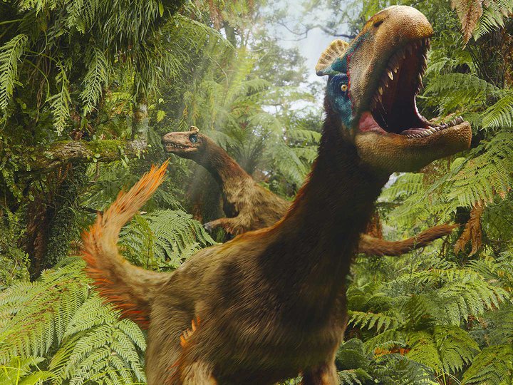 Explore - Science Museum of Virginia | For curious-minds of all ages!