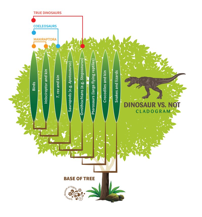 What is a Dinosaur? | Blog | Science Museum of Virginia