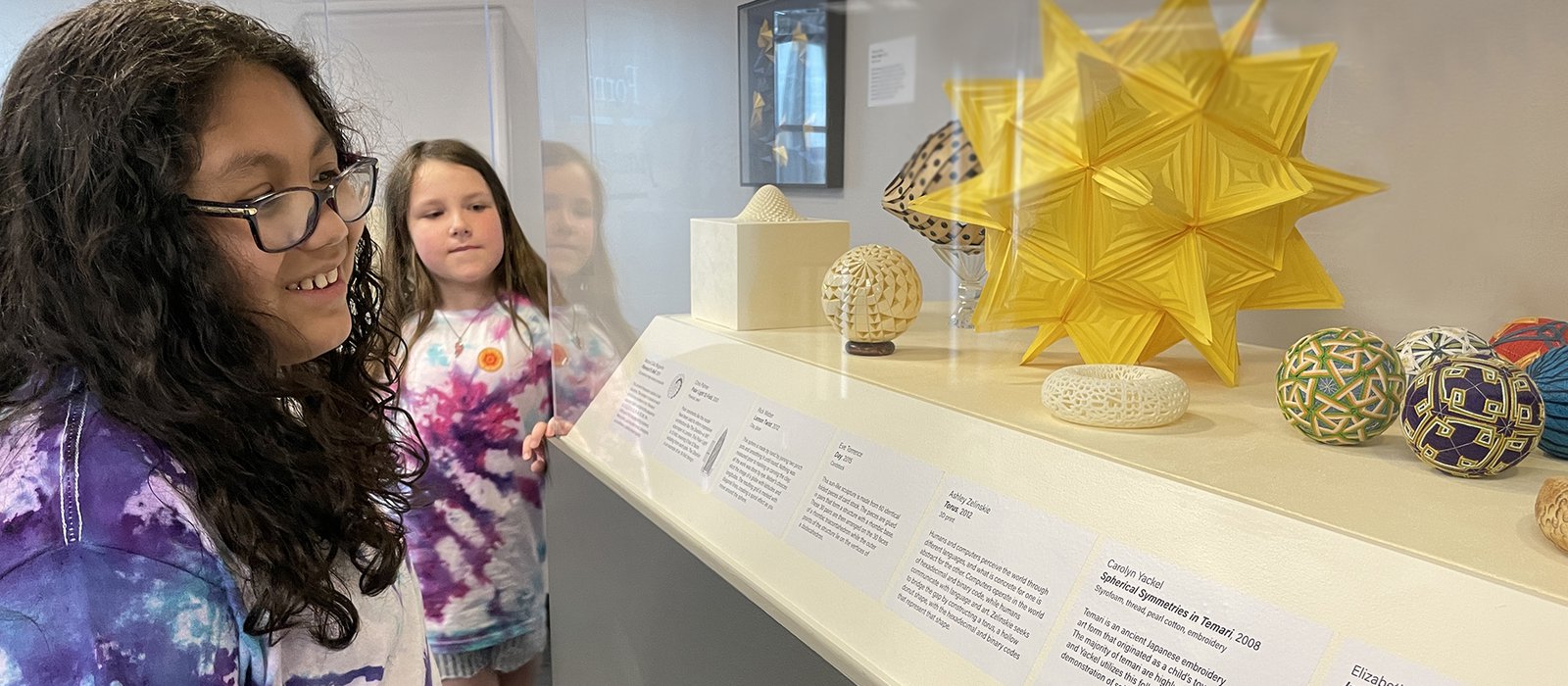 Form Over Function | Exhibition | Science Museum of Virginia