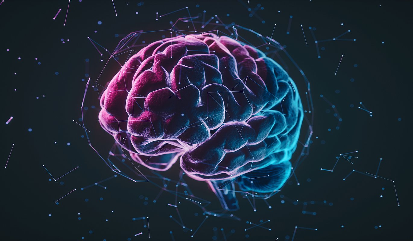 Question Your World: Is the Brain Getting Bigger | Science Museum of ...