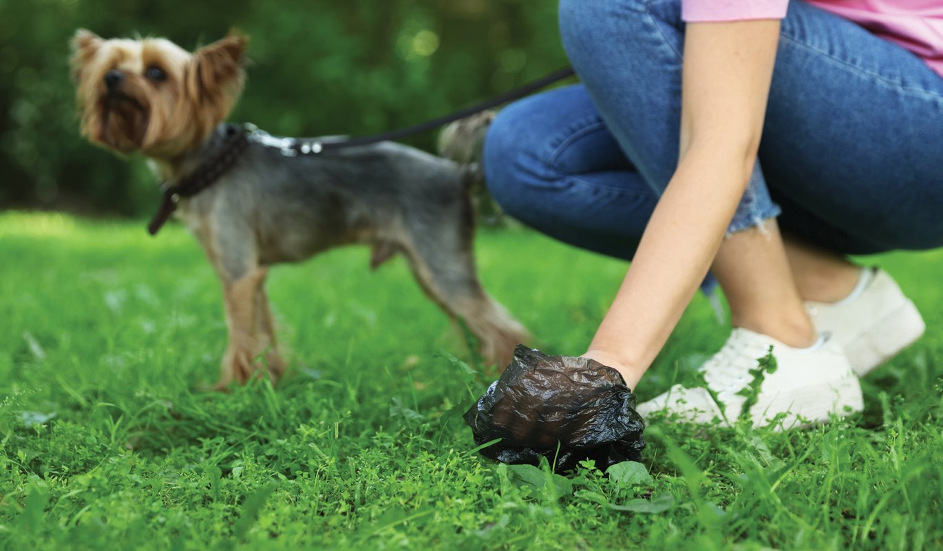 Going Outside | Audio Tour | The Green | Science Museum of Virginia
