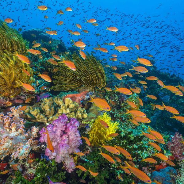 The Dome | Science Museum of Virginia