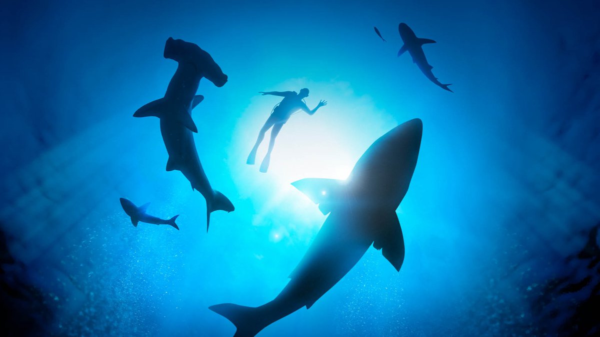 Make No Bones About It! | Blog | Science Museum of Virginia