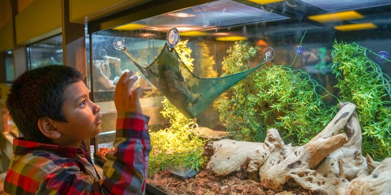 Animal Lab | Science Museum of Virginia