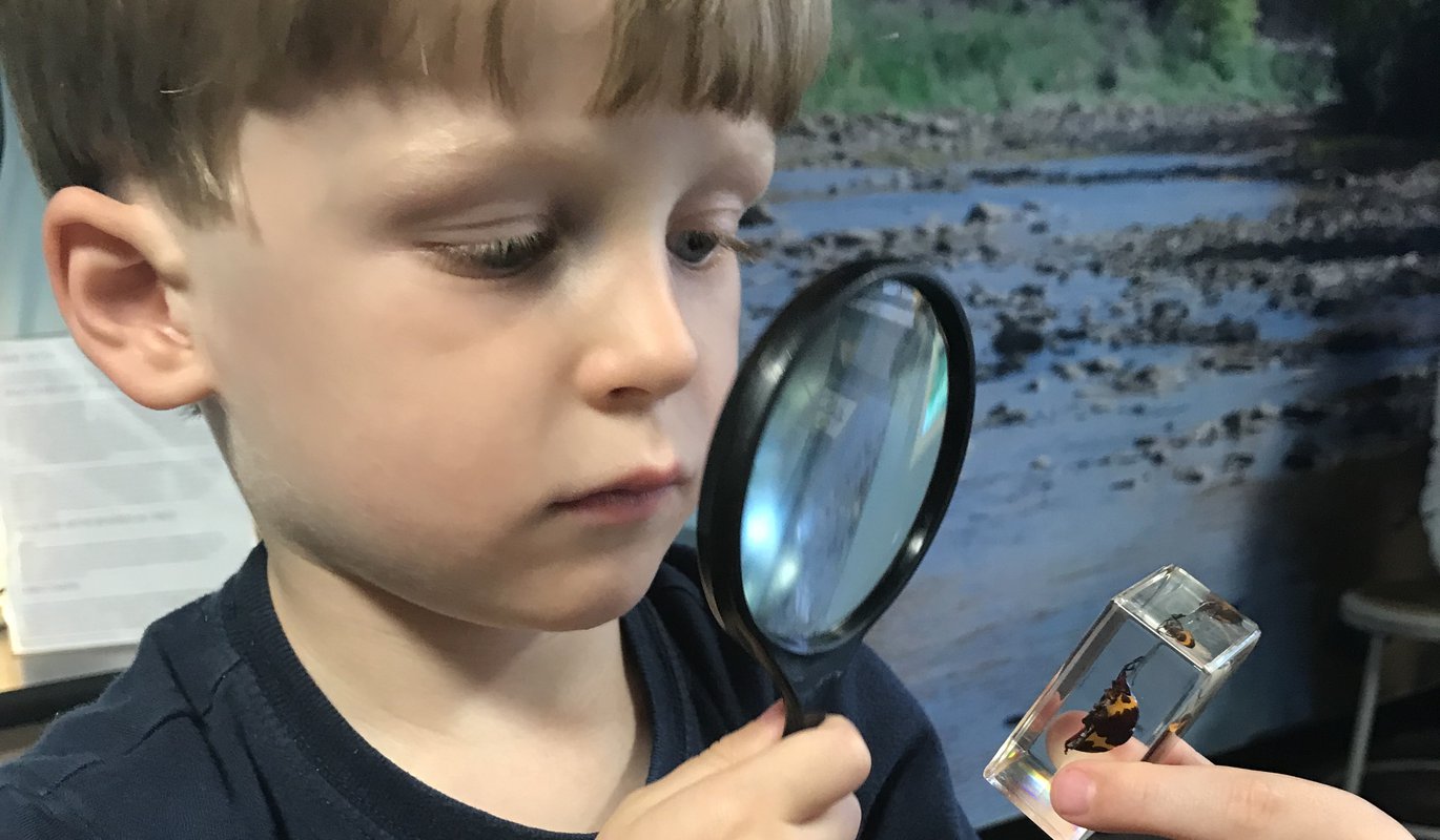 Eco Lab | Science Museum of Virginia | Ecology