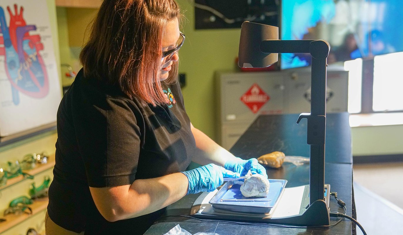 Heart Dissection | Group Demo | The Science Museum of Virginia