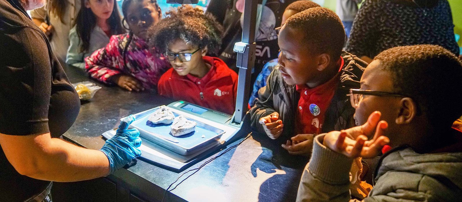 Heart Dissection | Group Demo | The Science Museum of Virginia