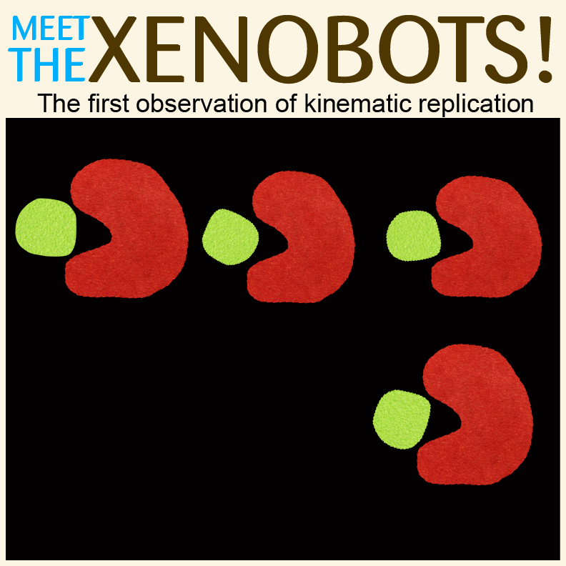 Question Your World: What Are Xenobots? | Blog | Science Museum of Virginia