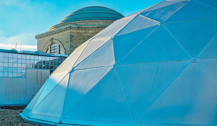 Guests Will Enjoy New Film at the Science Museum Beary Much