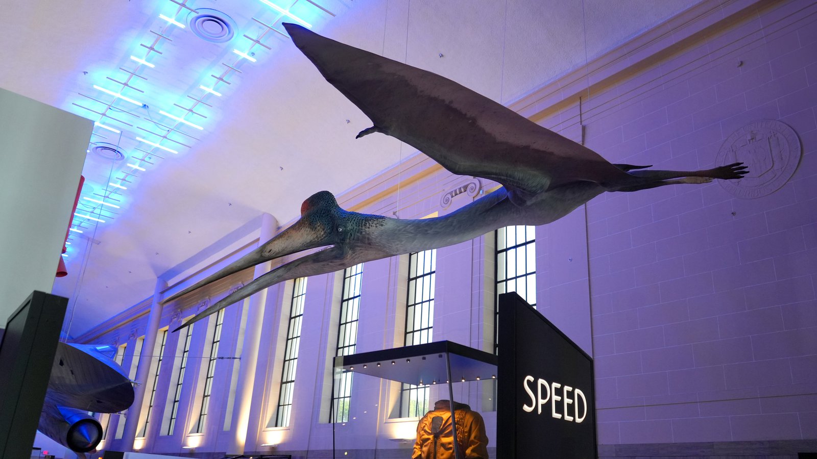 Quetzalco ... WHAT?!? | Blog | Science Museum of Virginia