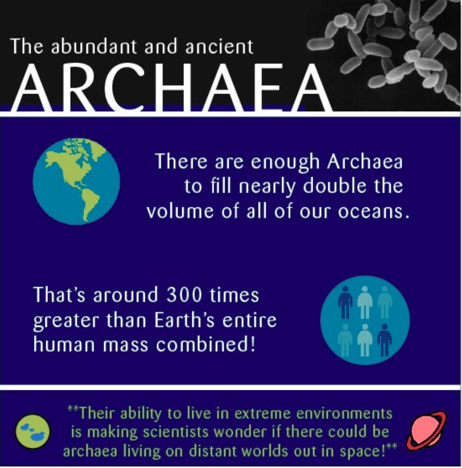 Is There Any Other Life Out There? | Blog | Science Museum of Virginia