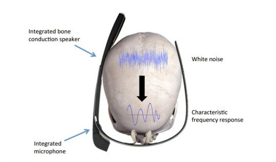 Can Your Skull Act Like a Fingerprint? | Blog | Science Museum of Virginia